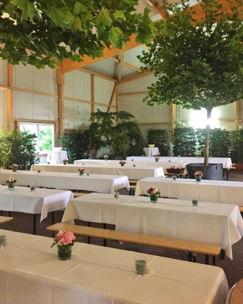 Impressionen | www.jolanthe-gerbitz.de